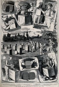 Guilford County Beekeepers | A Member of the North Carolina State ...